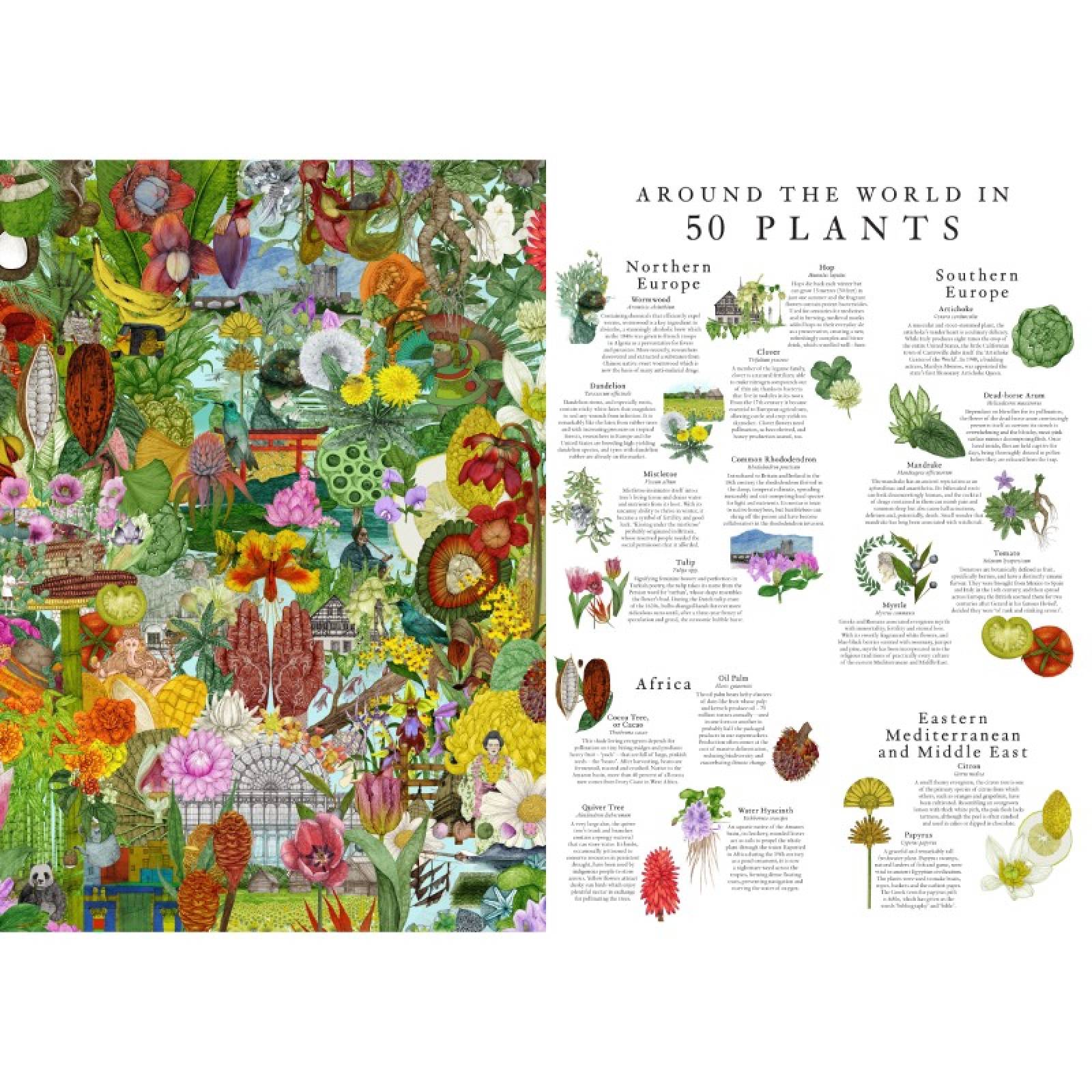 Around The World In 50 Plants - 1000 Piece Jigsaw Puzzle