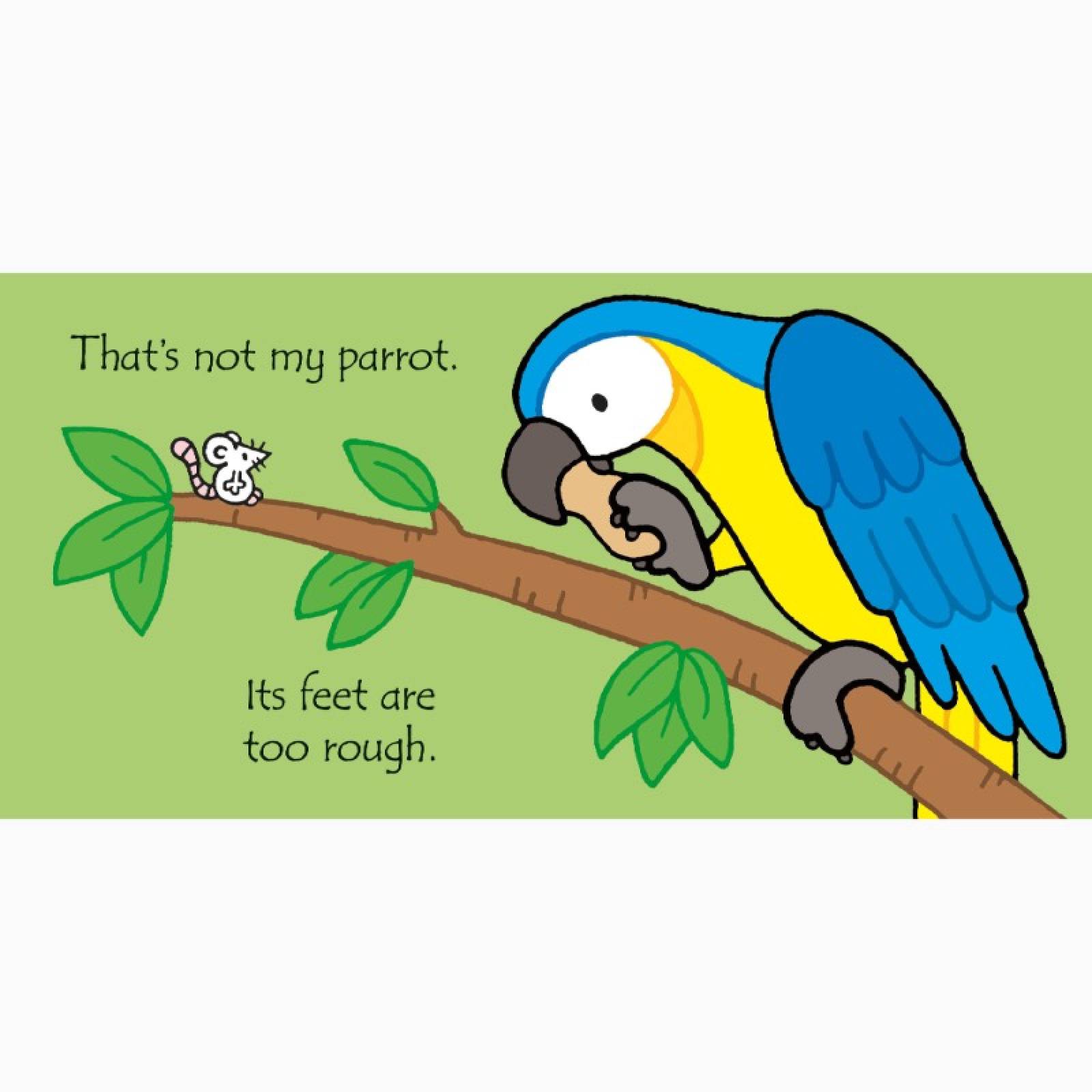 Parrot Poems In English - Infoupdate.org
